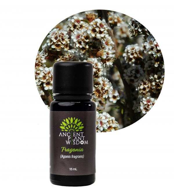 APW® Fragonia Essential Oil – Organic – | Nature Provides