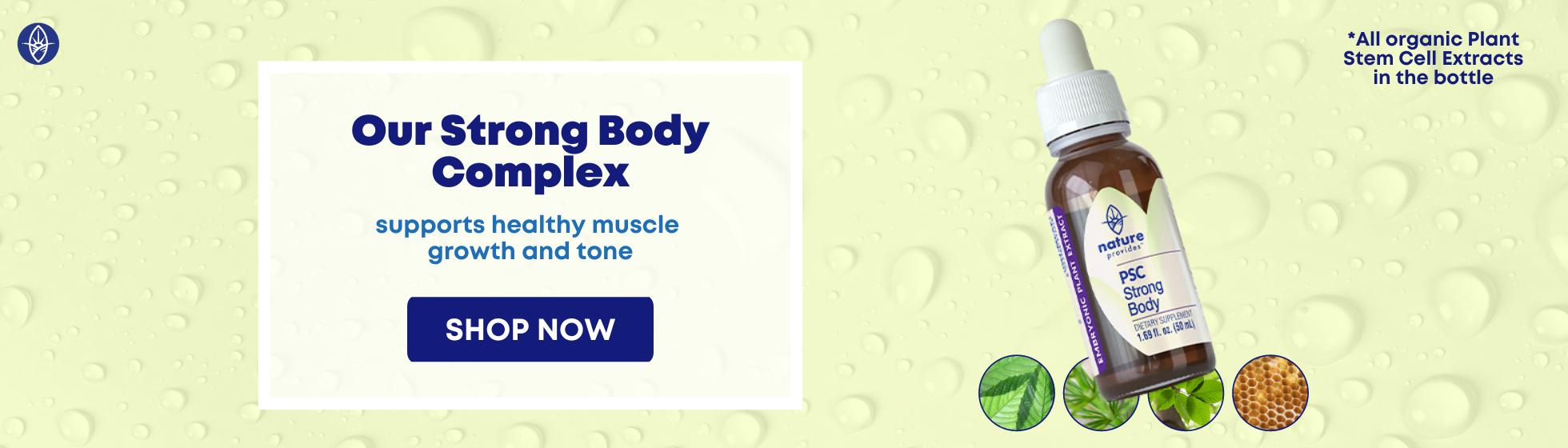 Nature Provides | Dietary Supplements | Gemmotherapy